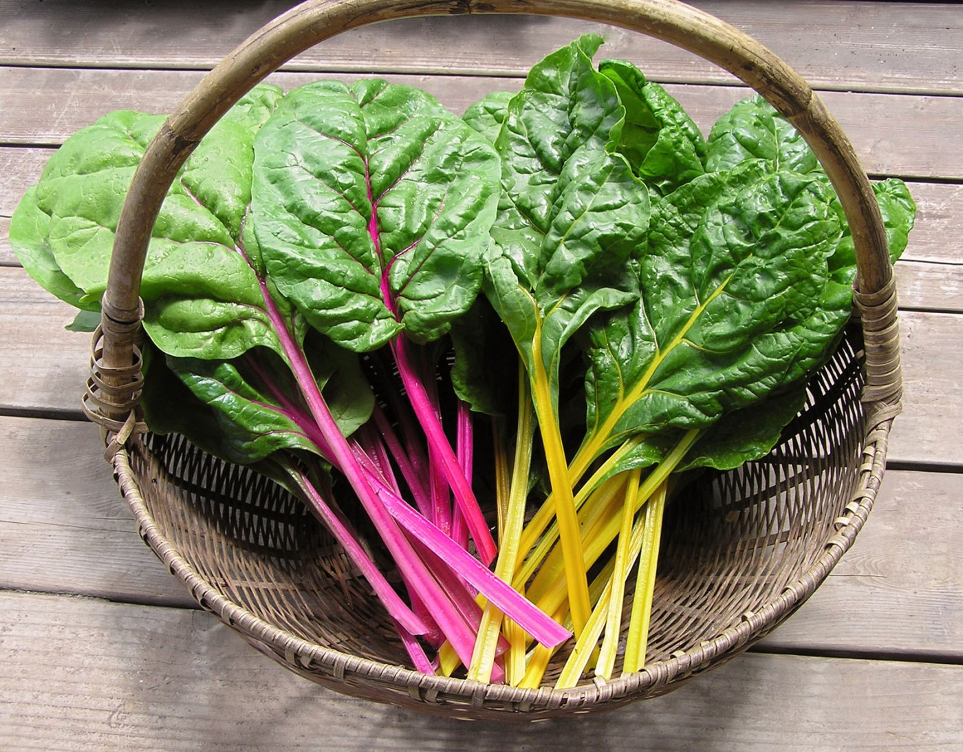 New, old foodscaping ideas for any garden | Ministry of the fence