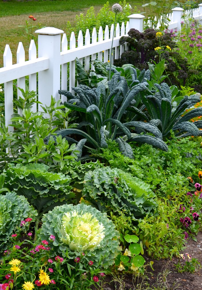 New, old foodscaping ideas for any garden | Ministry of the fence