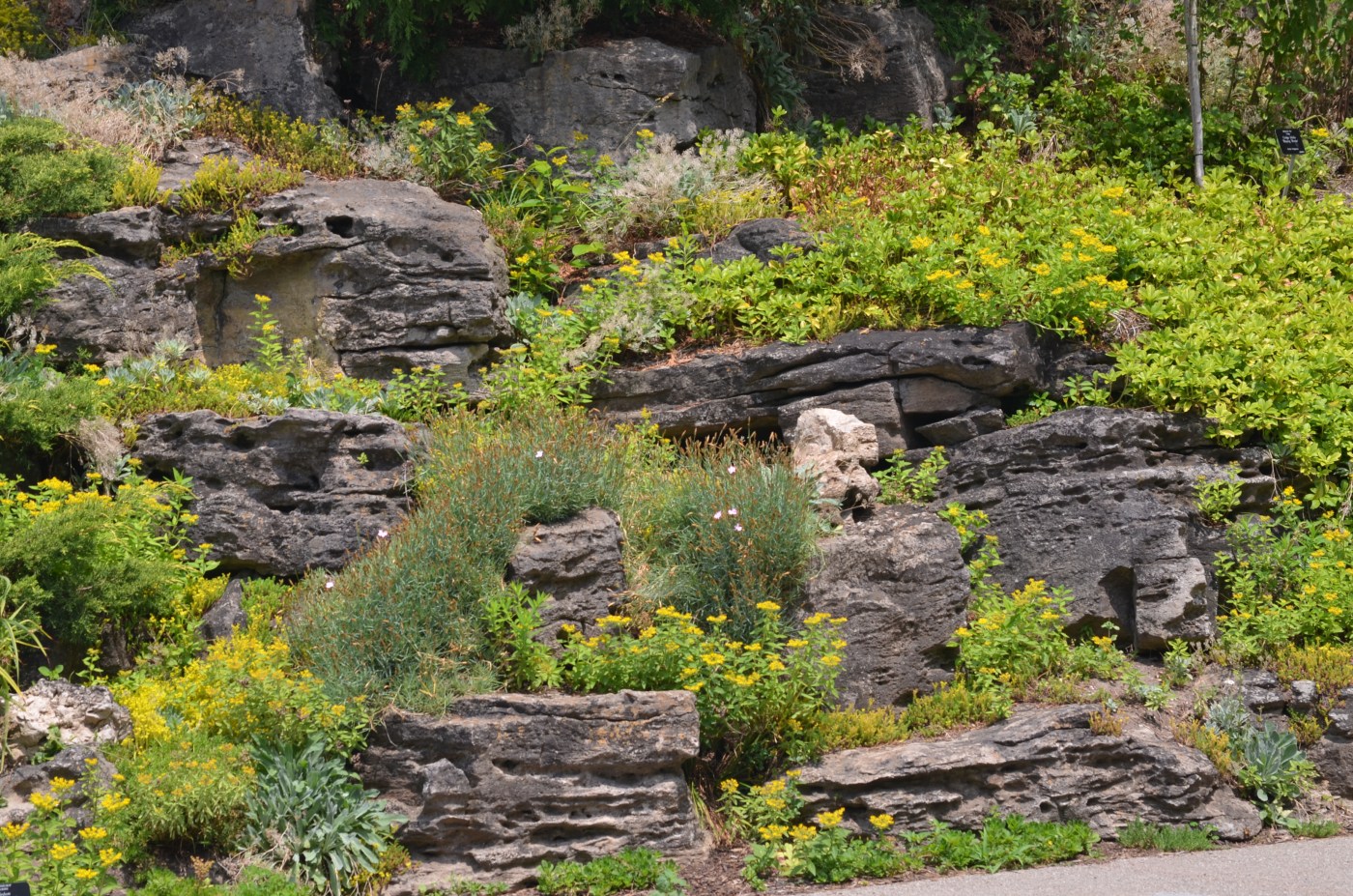 More rock garden ideas for gardens (and rocks) of all sizes | Ministry ...